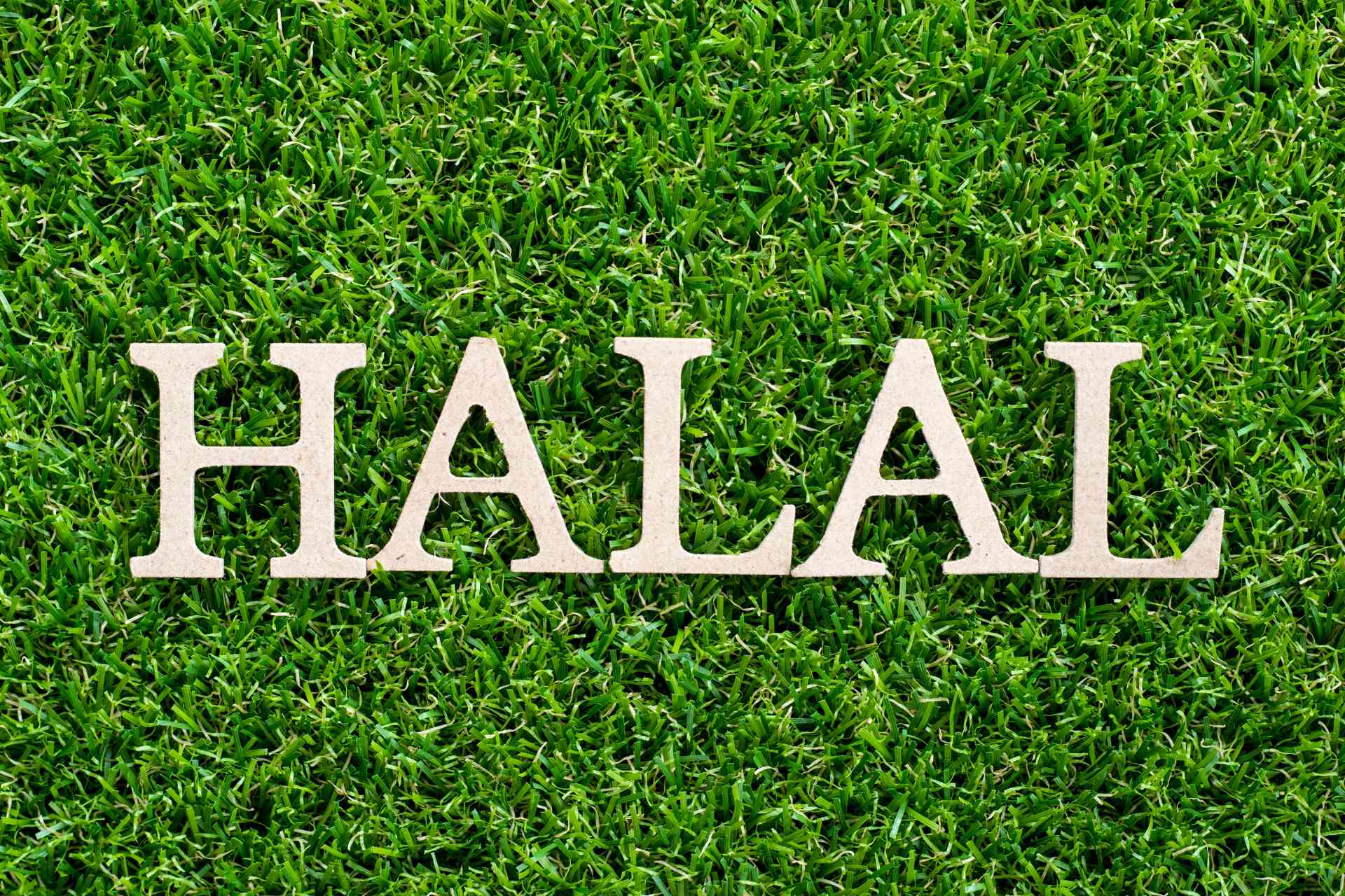 Halal Vs HMC Halal - What's The Difference